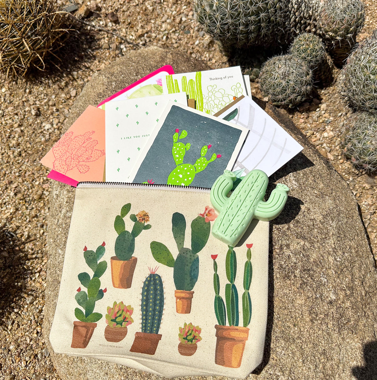 Lookin' Sharp Parcel – Postmark'd Studio